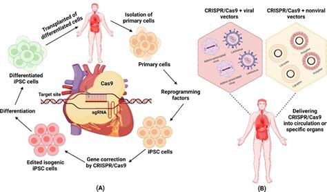 How Crispr Is Revolutionizing Diagnostics Perfect Business Llc Posted