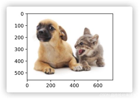 动手学深度学习之物体检测和数据集物品分类数据集 Csdn博客