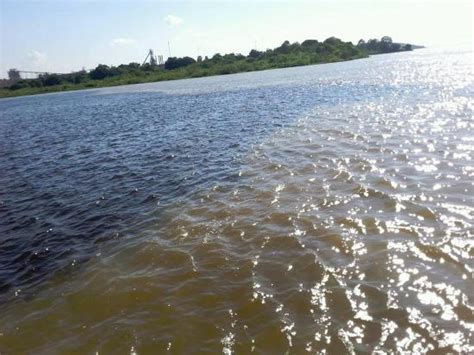 Rio Caroni Y Orinoco