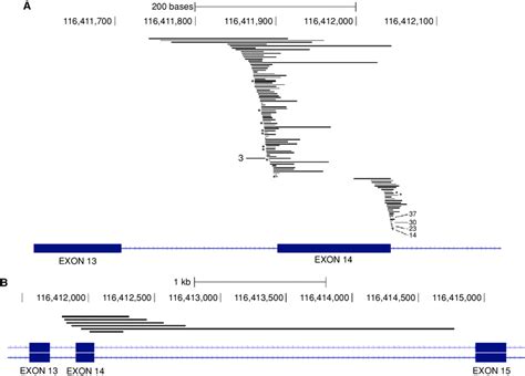 The Genomic Position Of Metex14 Alterations Genome Coordinates Are Download Scientific Diagram