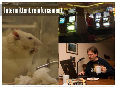 Intermittent Reinforcement Flickr Photos Jepoirrier