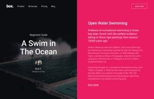 Free Divi Split Screen Layout Kit