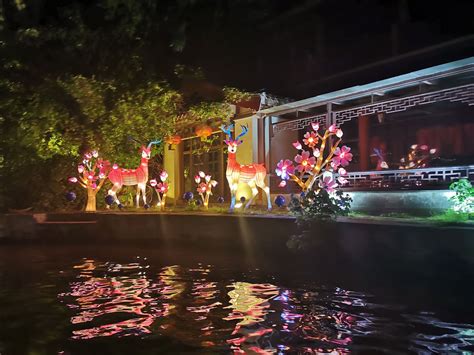 科学网—南京白鹭洲公园观灯 陈立群的博文