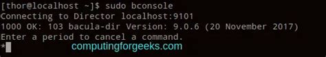 Install And Use Bacula Backup On Rocky Linux 8almalinux 8