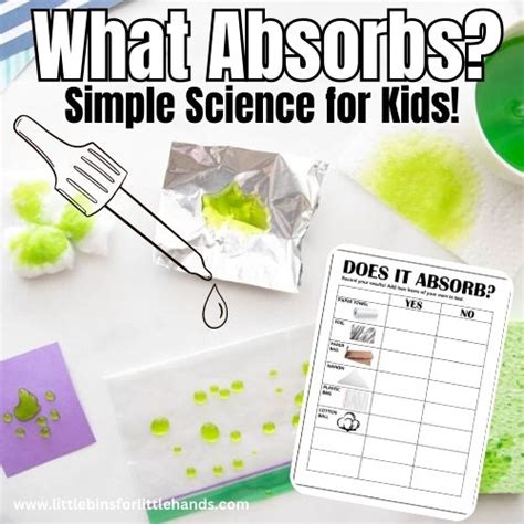 Sugar Cube Experiment Absorption And Dissolving