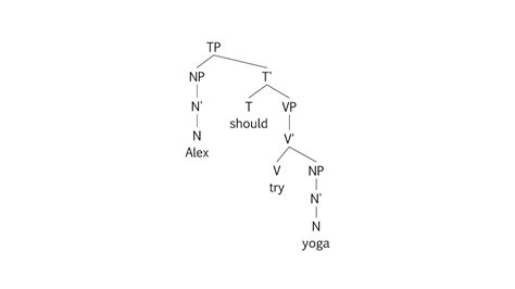 Syntax Tree Diagram Exercises