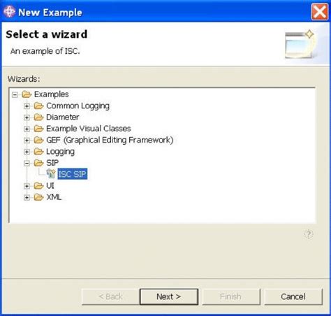 Diameter Client Application Developing Sip And Ip Multimedia