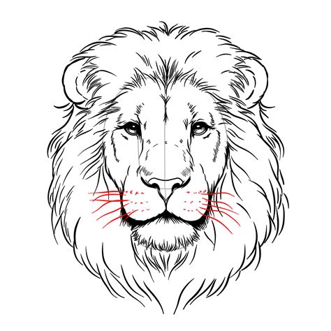 Running Lion Drawing