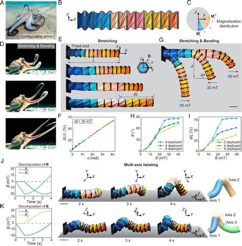 University Researchers Develop Octopus Inspired Robotic Arm That Moves
