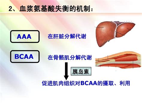 肝性脑病2011word文档在线阅读与下载无忧文档