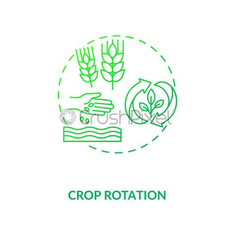 Crop Rotation Concept Icon Stock Vector Crushpixel