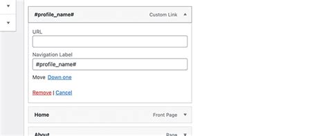 How To Add Custom Items To Specific WordPress Menus