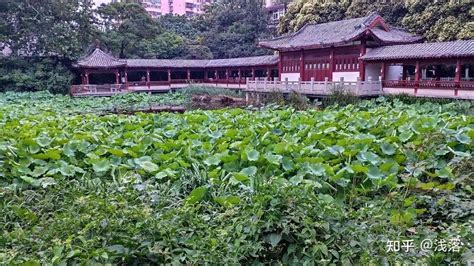 江苏某高校实践团赴徐州市快哉亭开展研学活动 知乎