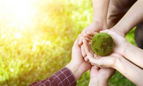 Carbon Offsetting Acc Aviation