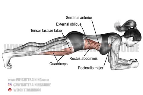 Planks Exercise