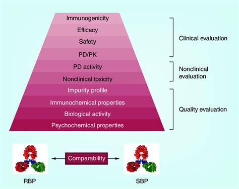 Levels Of The Comparability Exercise Pd Pharmacodynamic Pk