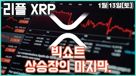 리플 Xrp 빅쇼트 상승장의 마지막 Youtube