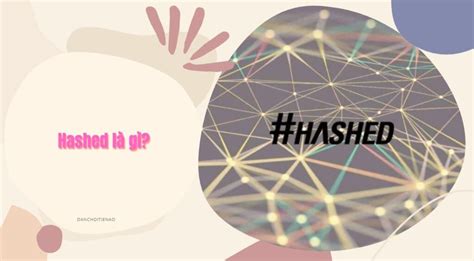 Hashed Là Gì Xu Hướng đầu Tư Của Quỹ Hashed Hashed Là Gì Xu Hướng đầu Tư Của Quỹ Hashed