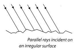 Ncert Solutions For Class Science Chapter Light Bhavy Education