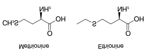 Structural Formulas Of Methionine And Ethionine Download Scientific