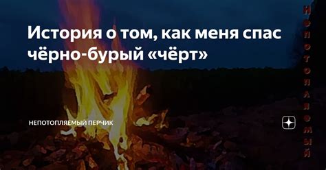 История о том как меня спас чёрно бурый «чёрт Непотопляемый Перчик Дзен