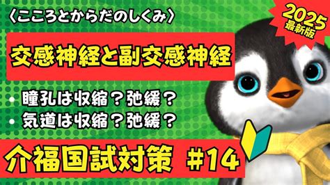 【頻出】交感神経と副交感神経の作用の簡単な覚え方を解説します【2025介福国試対策】 Youtube
