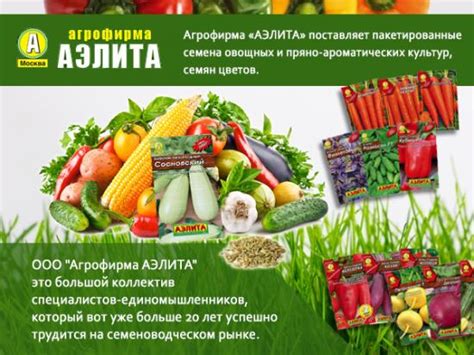Лучшие производители семян овощей в России, фирмы, которым можно доверять