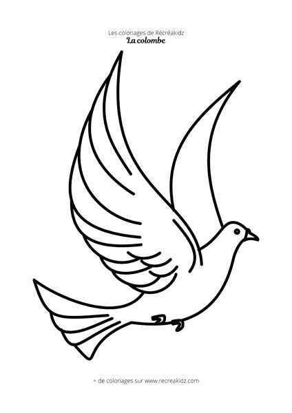 Coloriage colombe simple Dessin à colorier imprimer en PDF