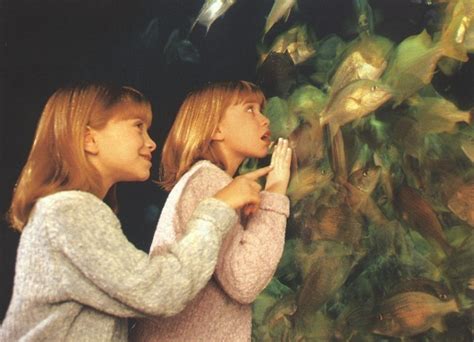 Disney World Adventures Mary Kate And Ashley Olsen Photo 22838074