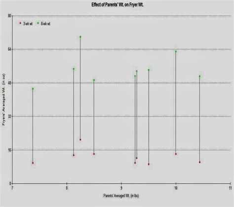 Hill Rise Rabbitry Fryer Growth