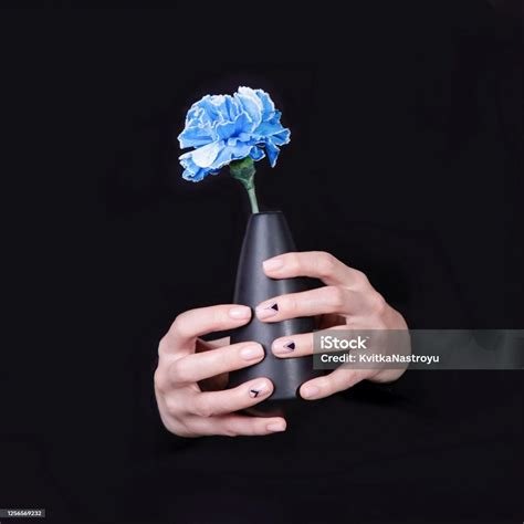 검은 색 배경에 파란색 카네이션 꽃검은 화병을 들고 있는 여성의 손 삼각형 패턴 기하학 매니큐어자연 매니큐어 복사 공간 검은색에