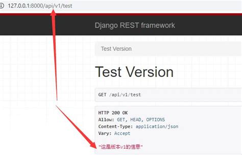 Django Rest Framework