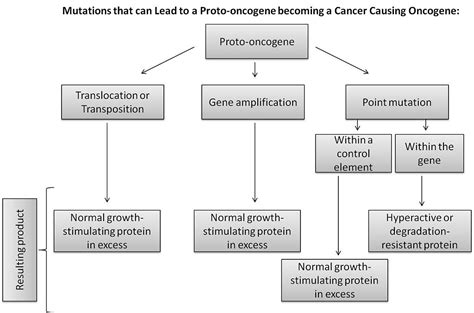 How Do Proto Oncogenes Become Oncogenes Pediaa Com