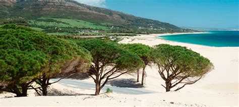 Las 10 Mejores Playas De Tarifa Blog Vacalia