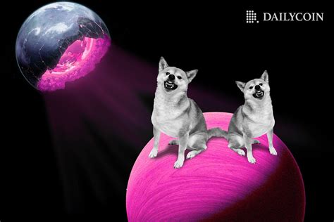 Shiba Inu Shib Vs Dogecoin Doge Which Memecoin Has More Use Cases