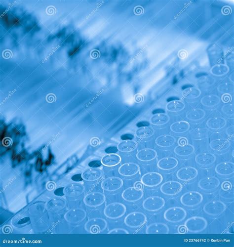 Microscope Slide Staining Tissue Biopsy For Diagnosis In Pathology Laboratory Royalty Free