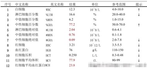 Yolo第y2周：如何正确解读yolo算法训练结果的各项指标yolo训练结果怎么看 Csdn博客