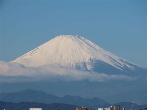 年末年始の診療日程のお知らせです