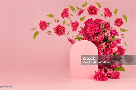 봄 추상 단계 분홍색의 신선한 스프레이 장미의 아치 새싹의 부상과 연단 모형으로 빈 둥근 공간 흰색 배경에 흐름으로 녹색 잎 복사 공간 프레젠테이션용 템플릿입니다 꽃 식물에