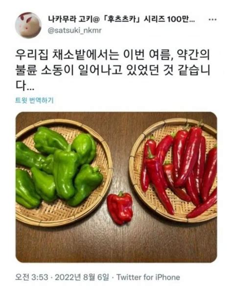 채소밭에서 일어난 작은 불륜‥ 음식 음식 및 음료 웃긴 장난