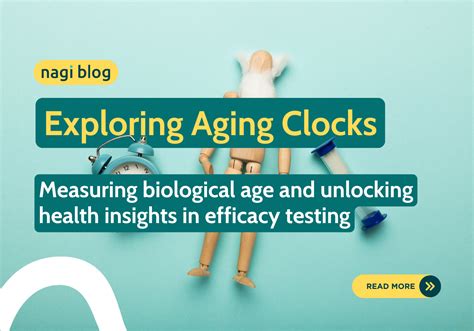 Aging Clocks For Discovery Pipelines Nagi Bioscience