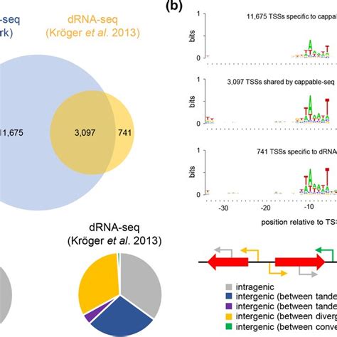Identification And Distribution Of Transcription Start Sites Tsss In