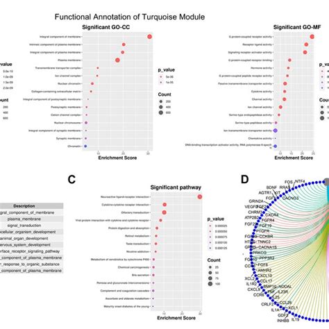 Pairs Of Related Mirna And Mrna Download Scientific Diagram