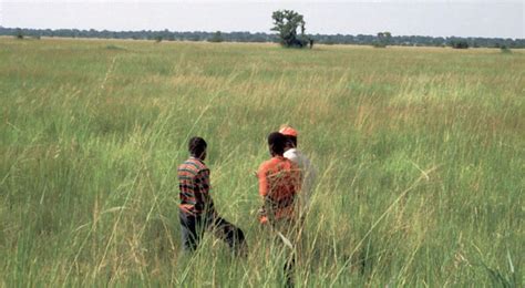 Soil Monoliths Collection Ku Leuven