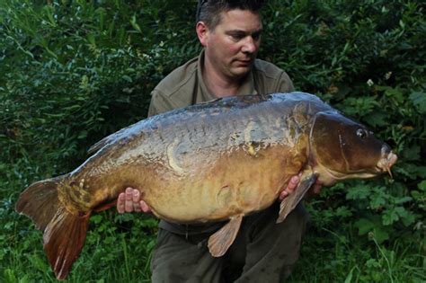 Rebelcell Accu Praktijk Test Sander Van Kooten Kwo