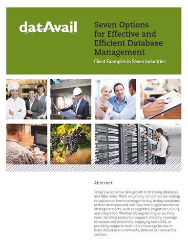 Seven Options For Effective And Efficient Database Management