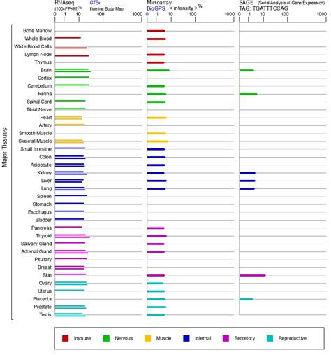 Nkrf Gene Genecards Nkrf Protein Nkrf Antibody