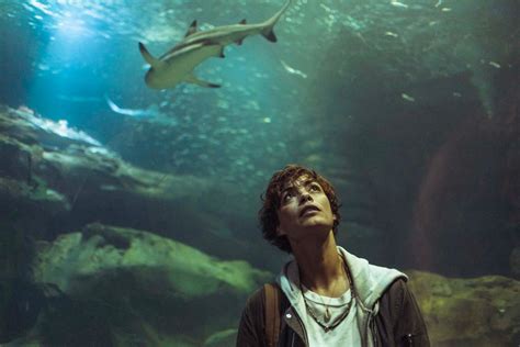 Sous La Seine Que Vaut Le Film De Requin Netflix