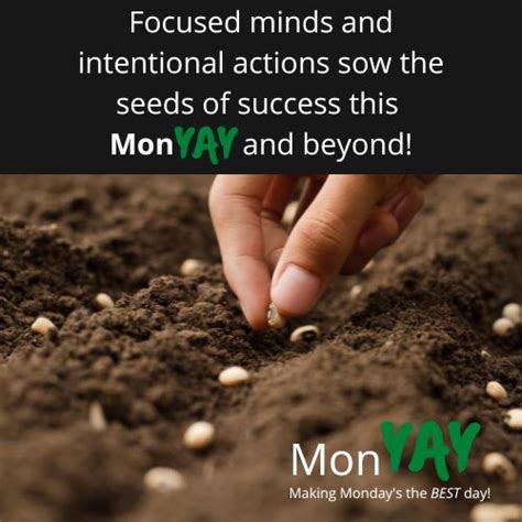 Mark Pollack On Linkedin Monyay Mondaymindset Focus Optimism Success