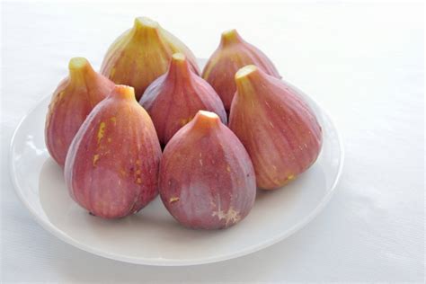 頼もしい、美味しい、「無花果」